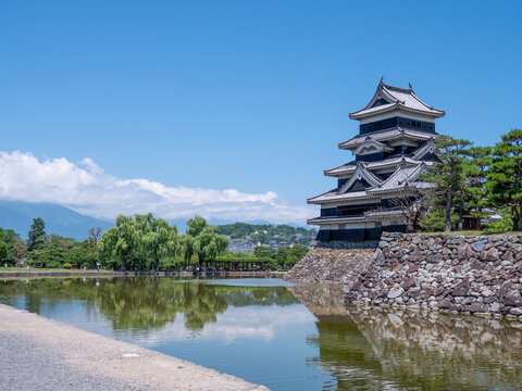 Ku bilder – Bläddra bland 33,563 stockfoton, vektorer och videor ...