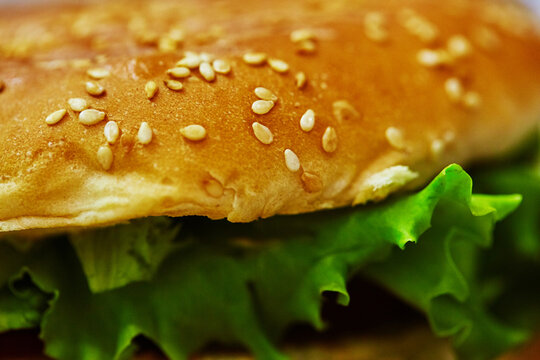 รูปภาพGamburger – เลือกดูภาพถ่ายสต็อก เวกเตอร์ และวิดีโอ293 | Adobe Stock