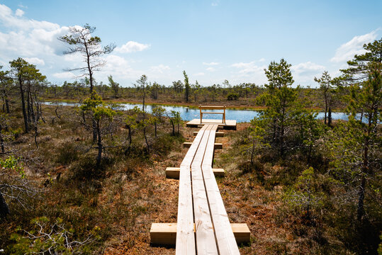 Purva Images – Browse 31 Stock Photos, Vectors, and Video | Adobe Stock