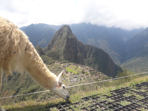 Surrounding Images – Browse 530,680 Stock Photos, Vectors, and Video ...