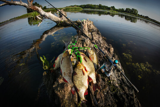 "Fishing Background" Images – Browse 1,073 Stock Photos, Vectors, and ...