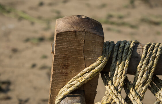 Rassi Bilder – Durchsuchen 49 Archivfotos, Vektorgrafiken und Videos ...