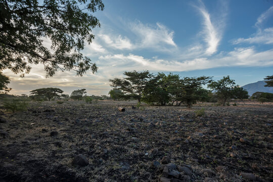 "Baluran National Park" Images – Browse 250 Stock Photos, Vectors, and ...