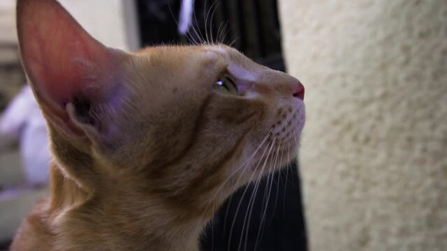 รูปภาพBilli – เลือกดูภาพถ่ายสต็อก เวกเตอร์ และวิดีโอ340 | Adobe Stock