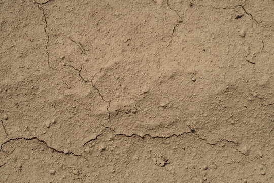 "Damp Soil" Images – Browse 42 Stock Photos, Vectors, and Video | Adobe ...