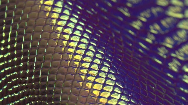 Purple Snake Skin Images – Browse 3,175 Stock Photos, Vectors, and ...