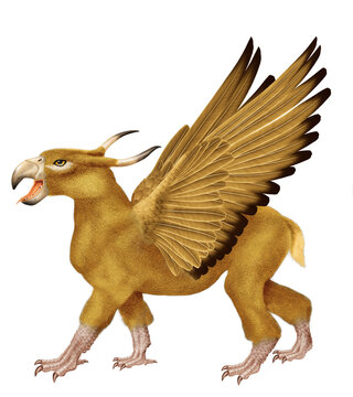 รูปภาพMimique – เลือกดูภาพถ่ายสต็อก เวกเตอร์ และวิดีโอ420 | Adobe Stock