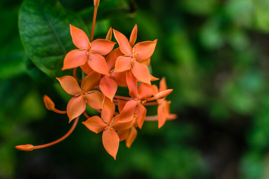 รูปภาพPonna – เลือกดูภาพถ่ายสต็อก เวกเตอร์ และวิดีโอ236 | Adobe Stock