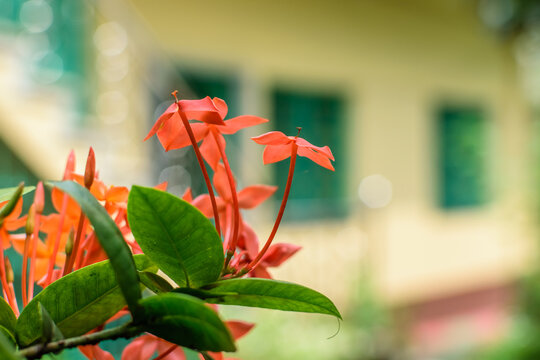 รูปภาพPonna – เลือกดูภาพถ่ายสต็อก เวกเตอร์ และวิดีโอ250 | Adobe Stock