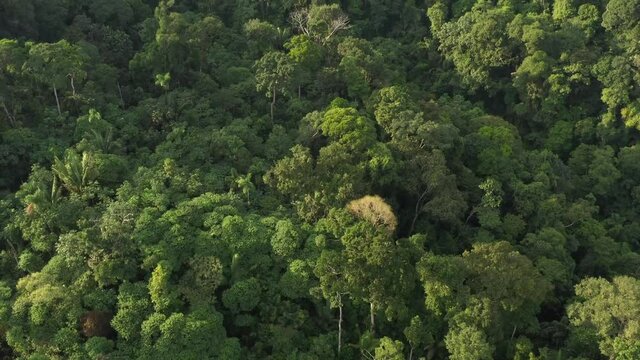 Hinterland Images – Browse 41,664 Stock Photos, Vectors, and Video ...