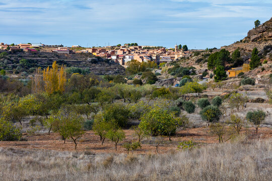 Garrigues Bilder – Durchsuchen 6,886 Archivfotos, Vektorgrafiken und ...