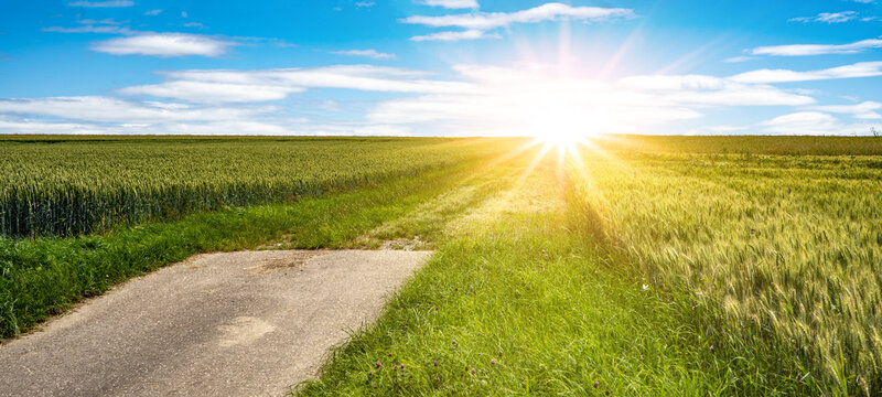 Grainfield Images – Browse 12,931 Stock Photos, Vectors, and Video ...