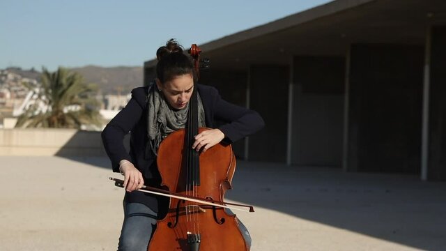 Chelo Images – Browse 267 Stock Photos, Vectors, and Video | Adobe Stock