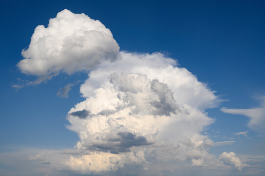 「Cumulon」の写真素材 | 95件の無料イラスト画像 | Adobe Stock