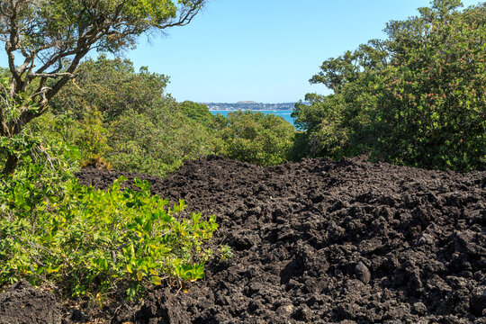 รูปภาพRangitoto – เลือกดูภาพถ่ายสต็อก เวกเตอร์ และวิดีโอ1,444 | Adobe Stock