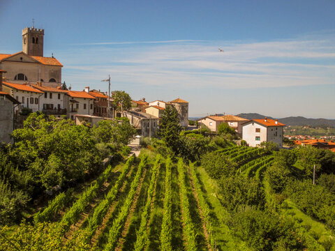 Friulia Bilder – Durchsuchen 33,549 Archivfotos, Vektorgrafiken und ...