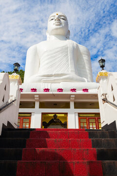 Bahirawa Bilder – Durchsuchen 61 Archivfotos, Vektorgrafiken und Videos ...