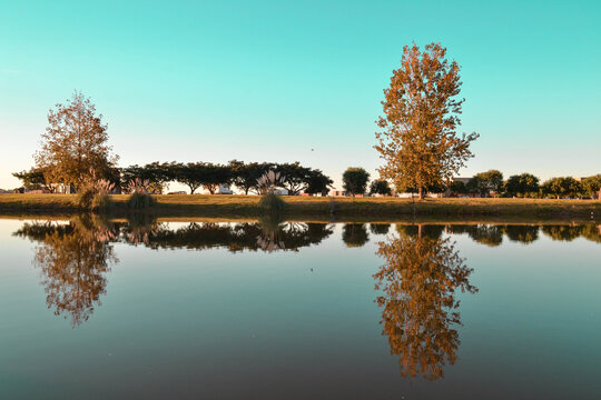 Imágenes de Simetric: descubre bancos de fotos, ilustraciones, vectores ...