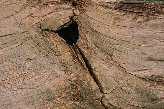 Astloch bilder – Bläddra bland 3,597 stockfoton, vektorer och videor ...