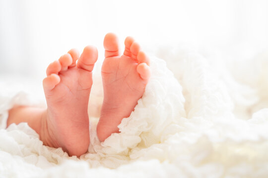 「新生児」の写真素材 | 13,332,584件の無料イラスト画像 | Adobe Stock