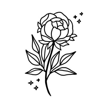 Rara photos, images, assets | Adobe Stock