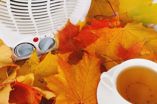 Ofay Images – Browse 55 Stock Photos, Vectors, and Video | Adobe Stock