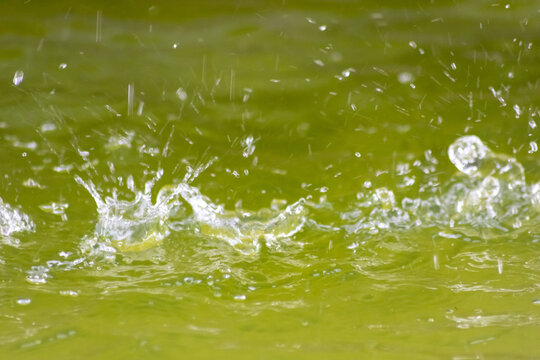 Meagerness Images – Browse 265 Stock Photos, Vectors, and Video | Adobe ...