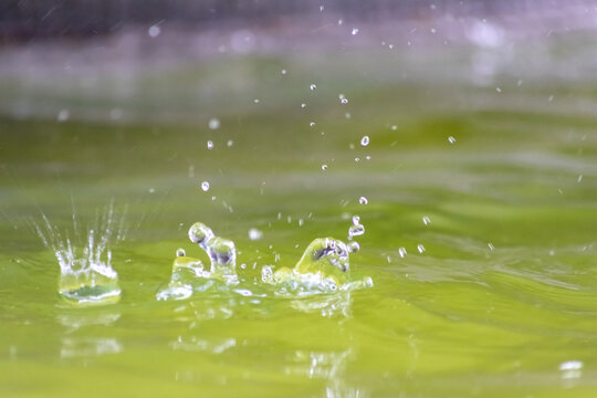 Meagerness Images – Browse 233 Stock Photos, Vectors, and Video | Adobe ...