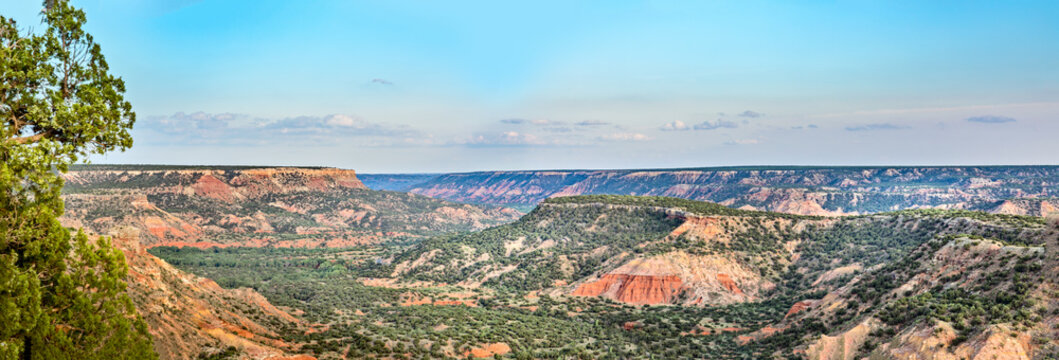 Palo Duro Images – Parcourir 1,434 le catalogue de photos, vecteurs et ...