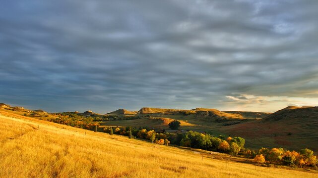 Medora Images – Browse 489 Stock Photos, Vectors, and Video | Adobe Stock