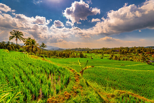 Singaraja Images – Browse 274 Stock Photos, Vectors, and Video | Adobe ...