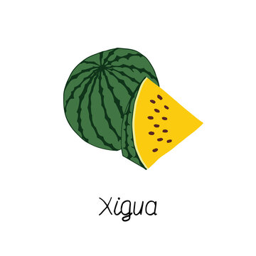 40 BEST Xigua IMAGES, STOCK PHOTOS & VECTORS | Adobe Stock