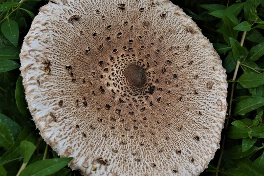 รูปภาพKania – เลือกดูภาพถ่ายสต็อก เวกเตอร์ และวิดีโอ434 | Adobe Stock