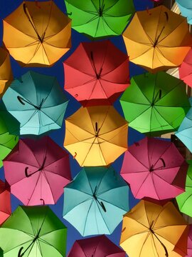 Variation Images – Browse 720,085 Stock Photos, Vectors, and Video ...