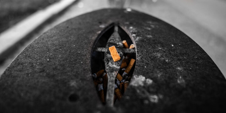 「Stummel」の写真素材 | 677件の無料イラスト画像 | Adobe Stock