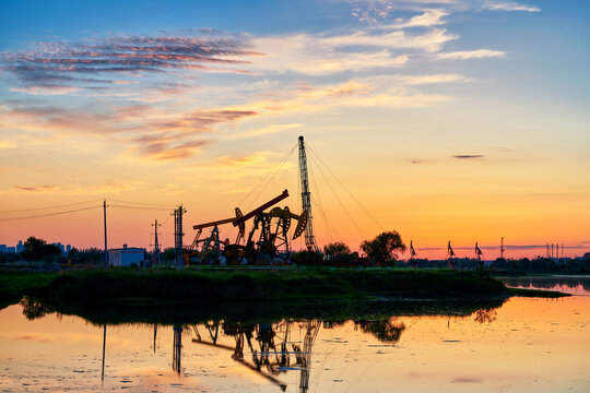 รูปภาพCucoloris – เลือกดูภาพถ่ายสต็อก เวกเตอร์ และวิดีโอ187 | Adobe Stock