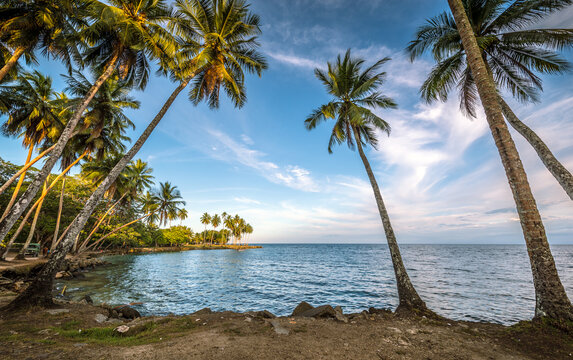 Madang Images – Browse 1,323 Stock Photos, Vectors, and Video | Adobe Stock