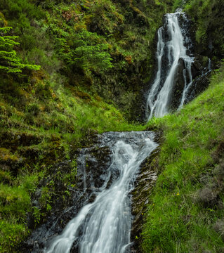 "Scottish Forest" Images – Browse 99 Stock Photos, Vectors, and Video ...