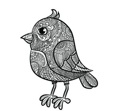 Zentangle Birds