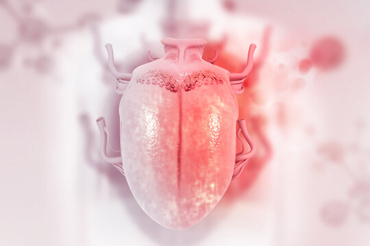 Gaumenmandeln Bilder – Durchsuchen 272 Archivfotos, Vektorgrafiken und ...