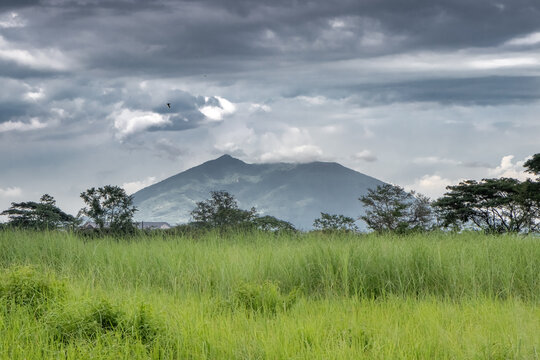 「Arayat」の画像 - 40 件の Stock 写真、ベクターおよびビデオ | Adobe Stock