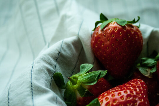 Fresitas Images – Browse 17 Stock Photos, Vectors, and Video | Adobe Stock