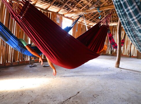 "Latin America" Bilder – Durchsuchen 248,473 Archivfotos, Vektorgrafiken und Videos | Adobe Stock