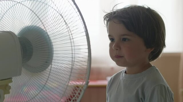 Fboy Images – Browse 38 Stock Photos, Vectors, and Video | Adobe Stock