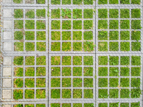 Grass Texture Tile Images – Browse 75,338 Stock Photos, Vectors, and ...