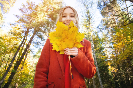 รูปภาพPolto – เลือกดูภาพถ่ายสต็อก เวกเตอร์ และวิดีโอ161 | Adobe Stock