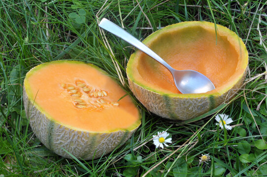 "Fruit Bio"-Bilder: Stock-Fotos & -Videos. | Adobe Stock