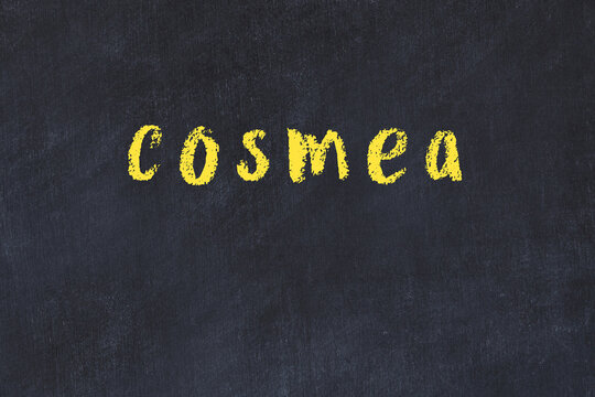 รูปภาพ"Cosmea – เลือกดูภาพถ่ายสต็อก เวกเตอร์ และวิดีโอ93,264 | Adobe Stock