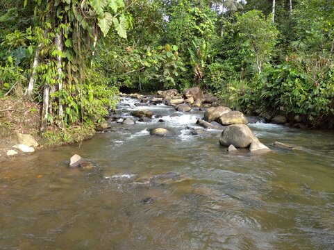 Arroyo Bilder – Durchsuchen 45,729 Archivfotos, Vektorgrafiken und ...