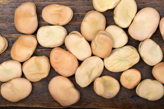 Pferdebohnen Bilder – Durchsuchen 2,184 Archivfotos, Vektorgrafiken und ...